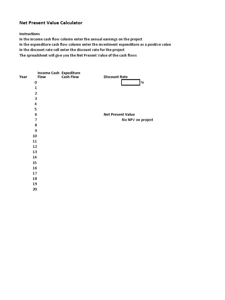 Net Present Value Calculator: Instructions | PDF