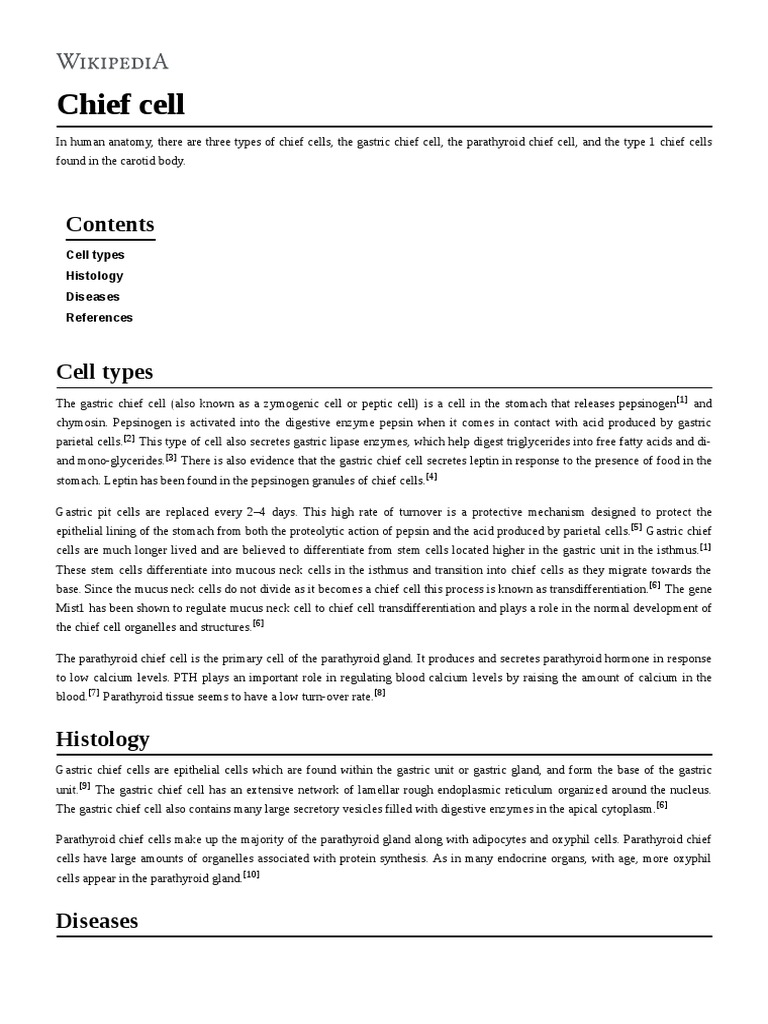 Chief Cell: Cell Types Histology Diseases References | PDF | Cell ...
