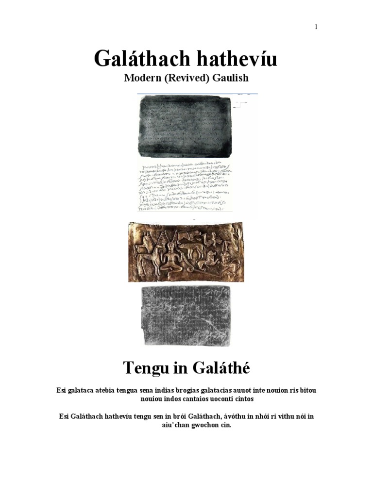 The Modern Gaulish Language PDF | PDF | Adjective | Plural