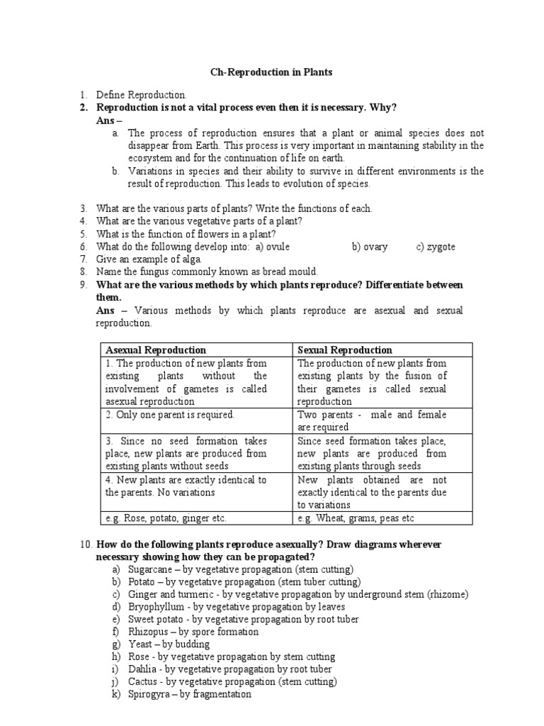Plant Reproduction Guide | PDF | Flowers | Sexual Reproduction