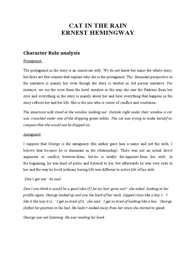 Hemingway - Cat in The Rain Summary | PDF