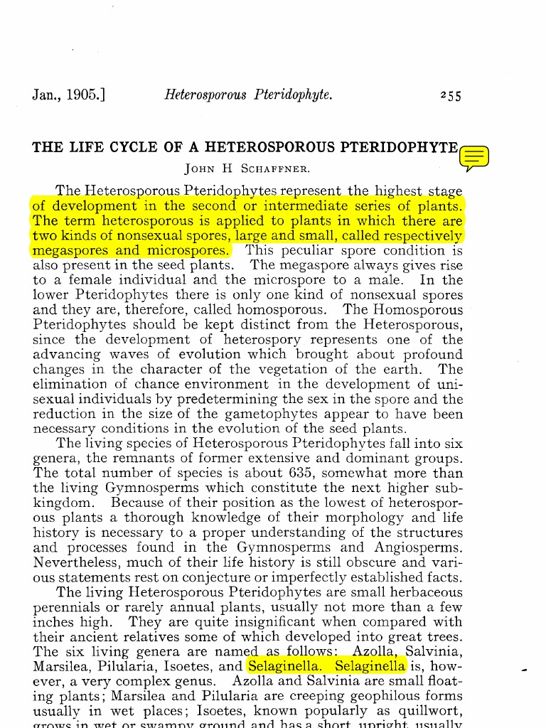 Life Cycle of Heterosporous Pteridophytes | PDF