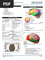 Brodmanns Area Table | PDF | Frontal Lobe | Cerebral Cortex