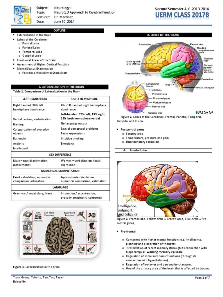 Understanding Cerebral Function: An Outline of Neuroanatomy ...