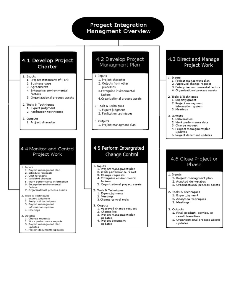 4.3 Direct and Manage Project Work 4.1 Develop Project Charter | PDF ...