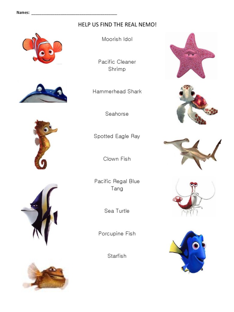 Finding Nemo Match | PDF