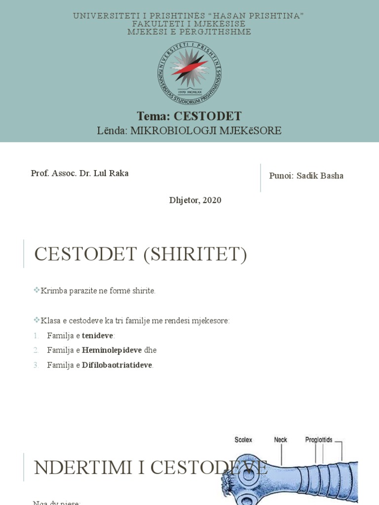 Cestodet - Sadik Basha | PDF