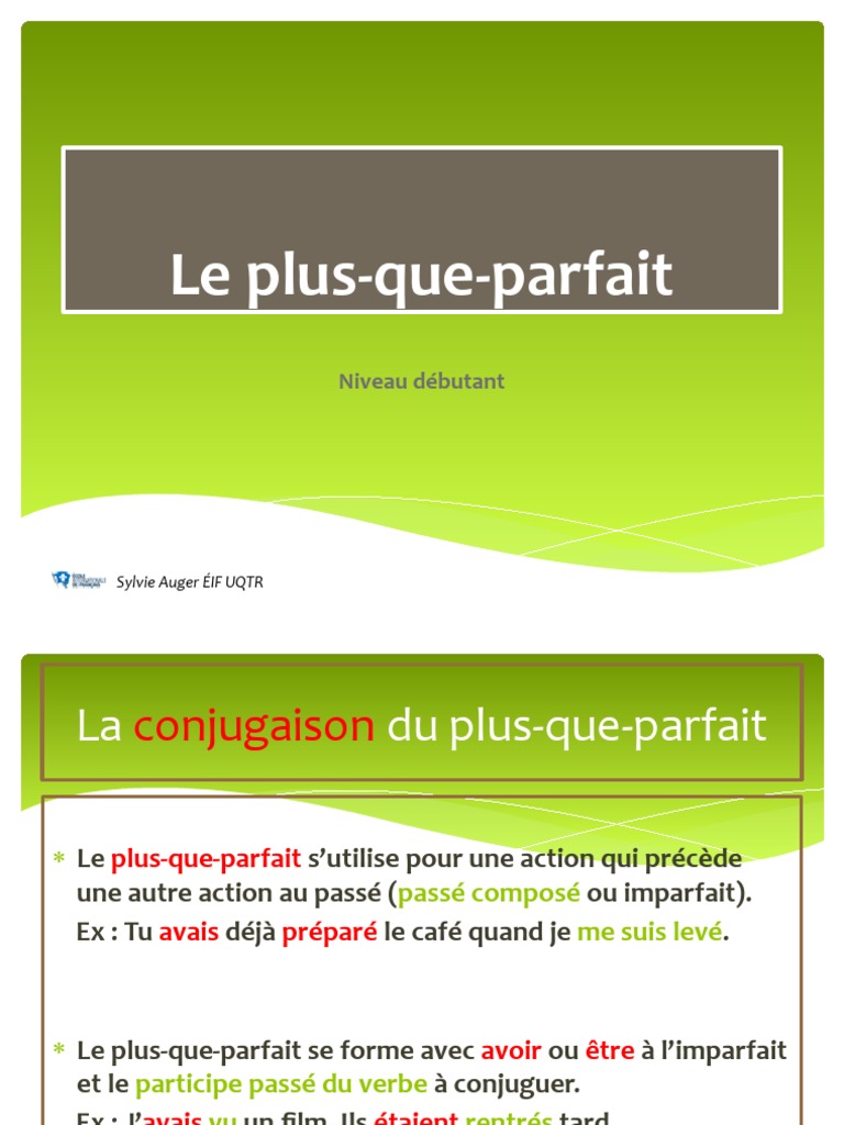 Le Plus-Que-Parfait Theorie | PDF | Mécanique du langage | Morphologie ...