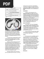 Apical Lordotic Chest X-Ray Positioning | PDF | Thorax (Human Anatomy ...