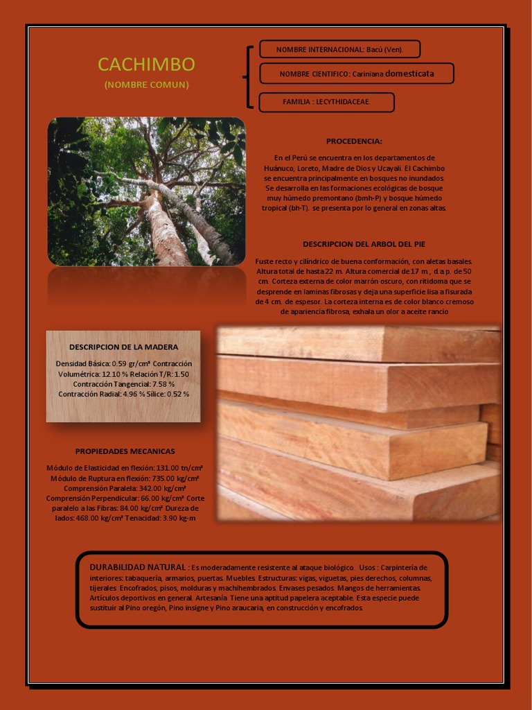 Catalogo de Madera | PDF | Arboles | Forma de vida vegetal