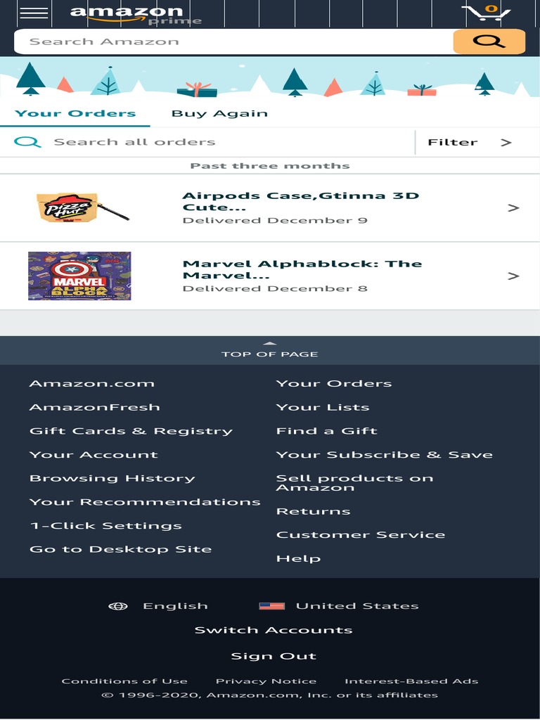 Search Your Amazon Orders | PDF