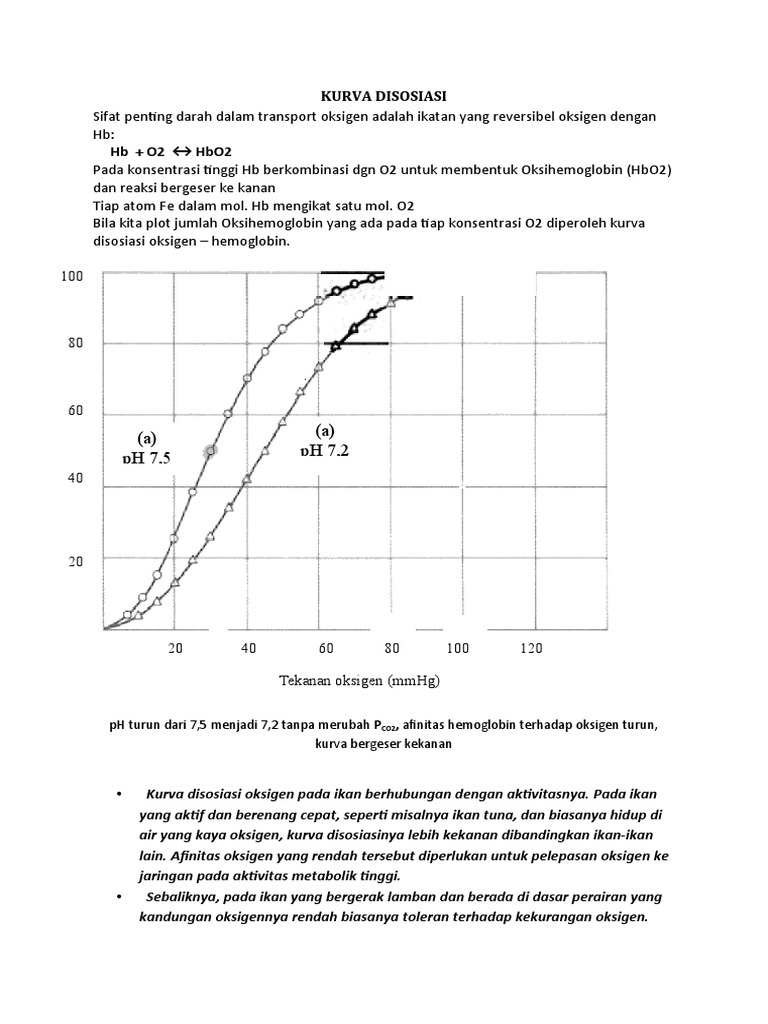 Kurva Disosiasi Oksigen Hemoglobin | PDF