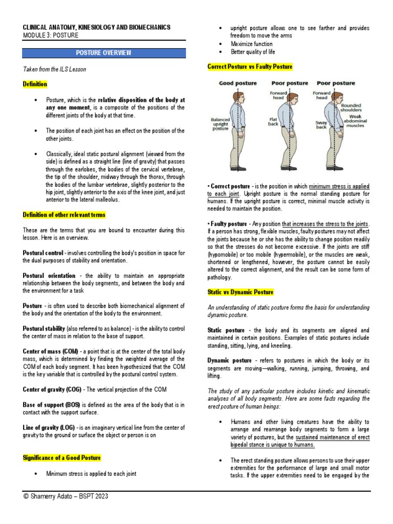 Posture PDF | PDF | Hip | Anatomical Terms Of Motion