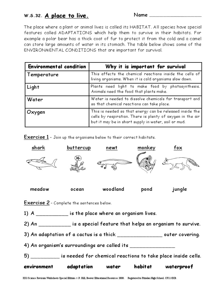 KS3 Science Revision Worksheets Environment PDF | PDF | Pesticide ...
