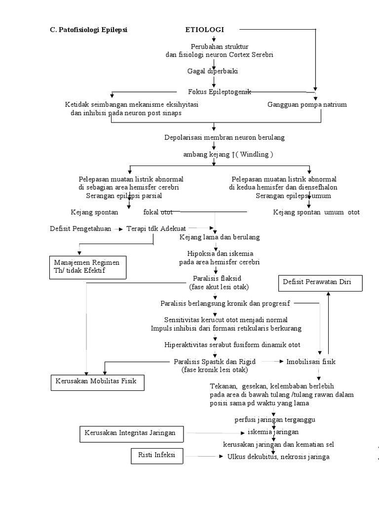 Pathway Epilepsi | PDF