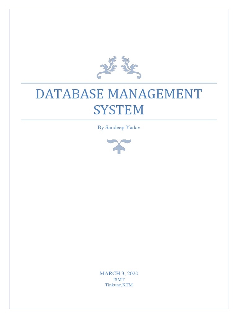 DatabaseManagementSystemSandeep PDF | PDF | Conceptual Model | Databases