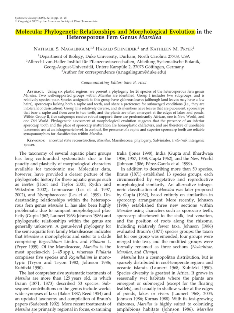 Fichier1038 Phylogeny of Marsilea. | PDF | Phylogenetic Tree ...