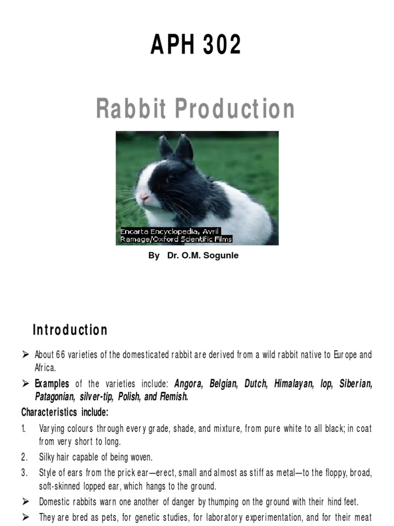 Rabbit Production: A Guide on Breeds, Housing, Feeding, and Management ...