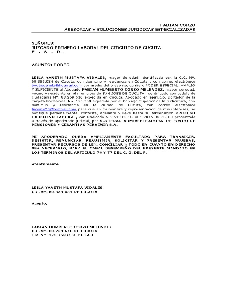 Poder Ejecutivo Leila Mustafa | PDF