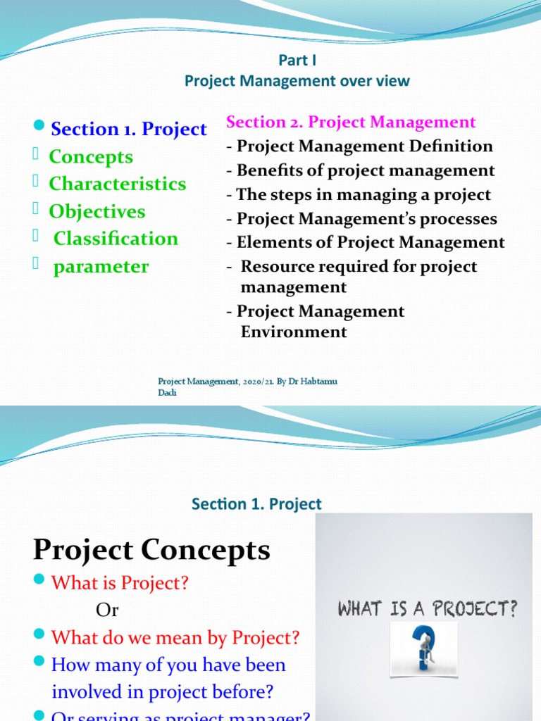 Project Management Overview and Concepts | PDF | Project Management | Goal