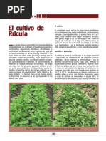 Ficha Técnica Radigrow XL | PDF | Agua | Química