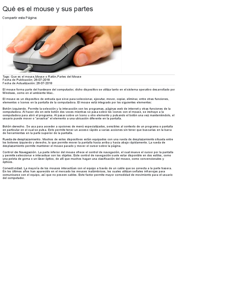 Qué Es El Mouse y Sus Partes | PDF