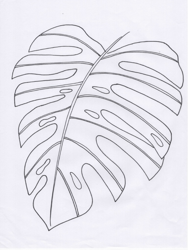 Monstera Leaf PDF | PDF