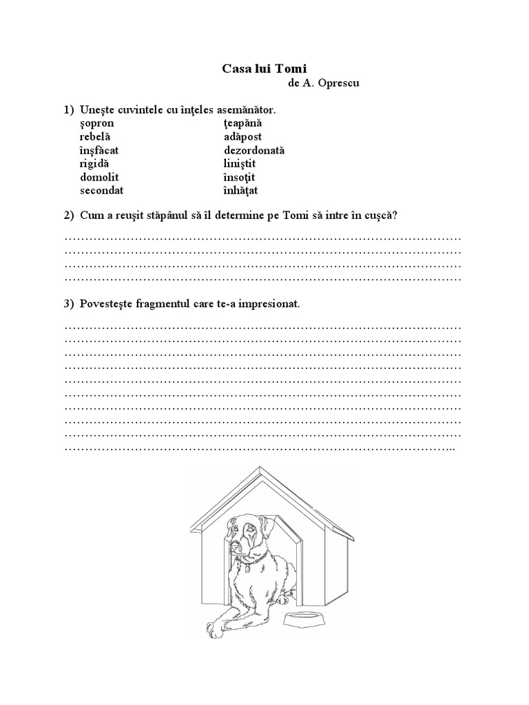 Casa Lui Tomi | PDF