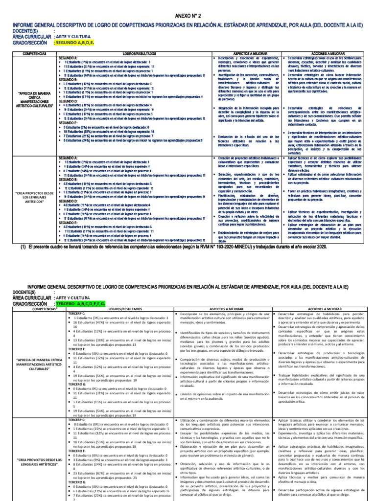 Informe General Descriptivo de Logro de Competencias Priorizadas | PDF | Comunicación | Información