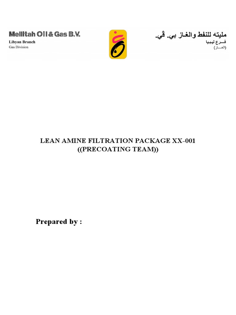 Lean Amine Filtration Package XX-001 | PDF