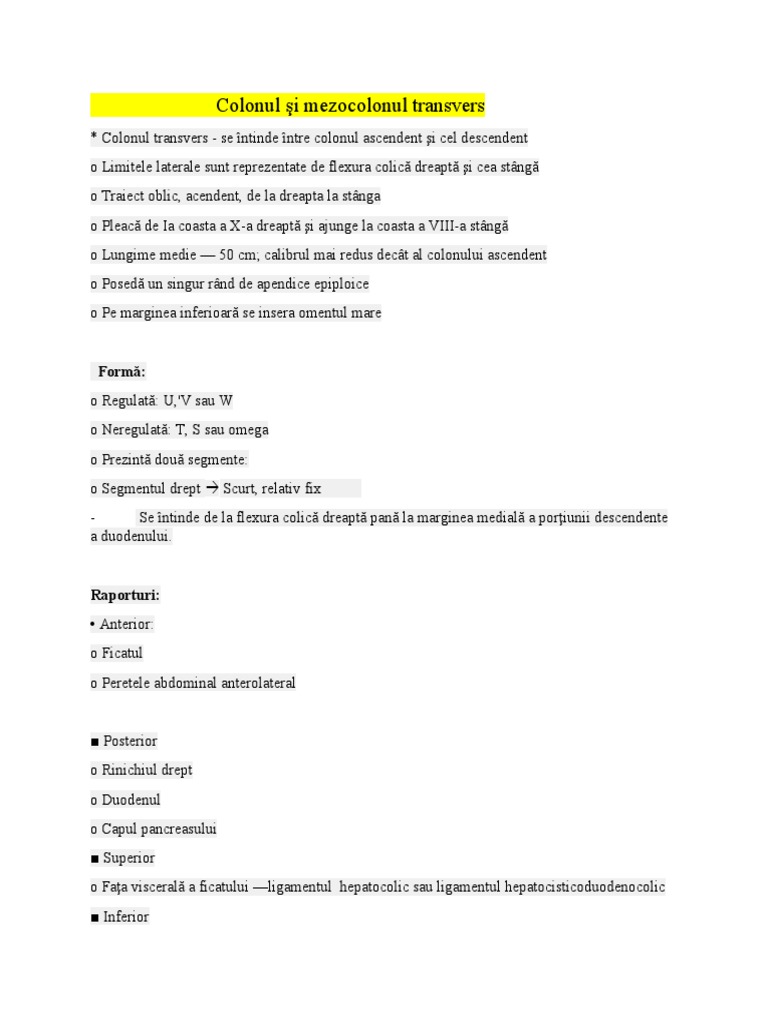 Colonul Şi Mezocolonul Transvers | PDF