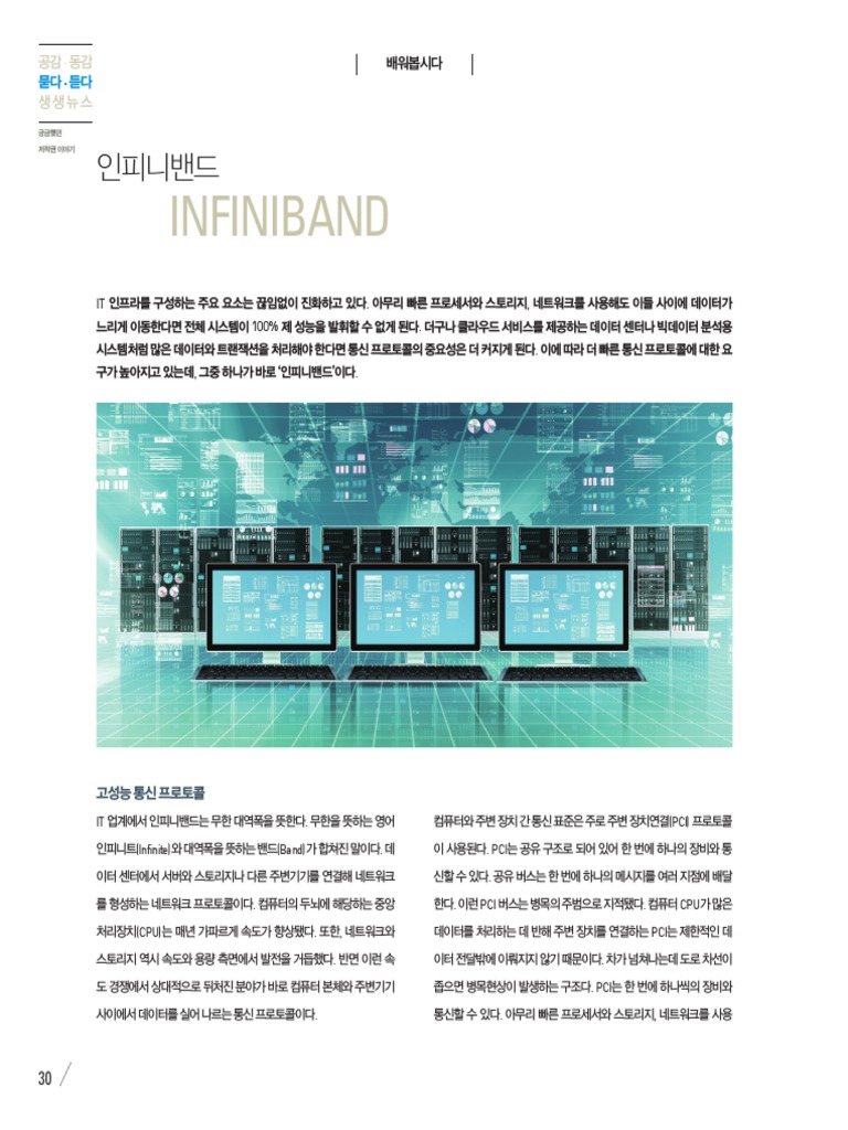 인피니밴드 (InfiniBand) | PDF
