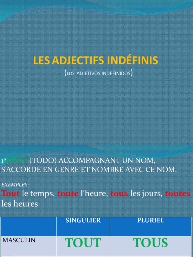 Adjectifs Indéfinis | PDF