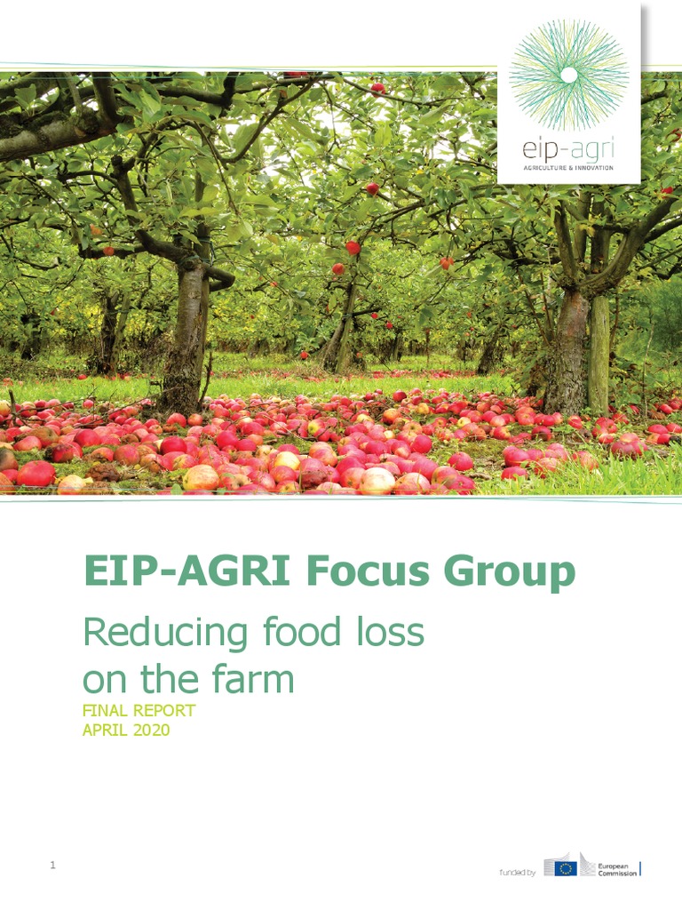 Reducing Food Loss on Farms: Final Report | PDF | Foods | Sustainability