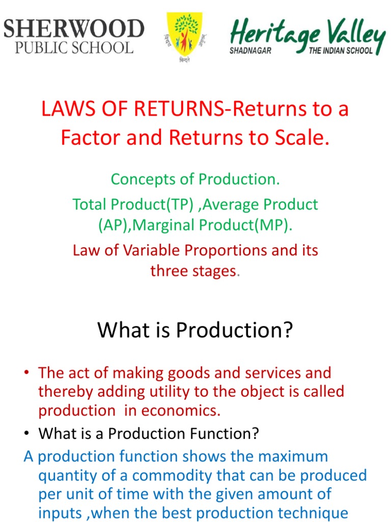 Laws of Returns | PDF | Production Function | Supply Chain Management