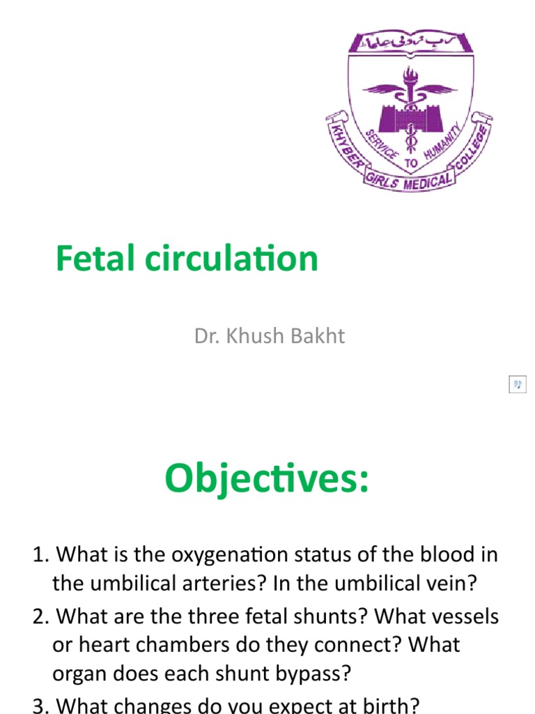 Fetal Circulation: Dr. Khush Bakht | PDF | Fetus | Circulatory System