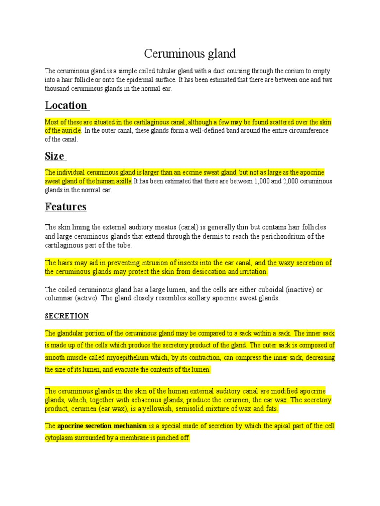 Ceruminous Modified | Download Free PDF | Human Anatomy | Organ (Anatomy)