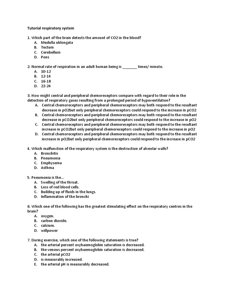 Tuto Respiratory System | PDF | Respiratory System | Breathing