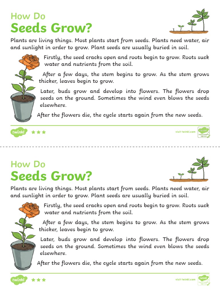Au L 607 How Do Seeds Grow Explanation Writing Sample - Ver - 1 PDF | PDF