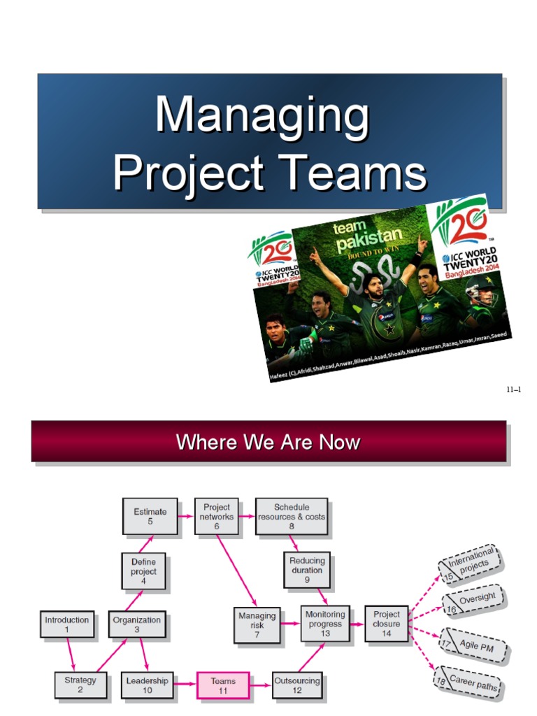 Chapter 11 - Managing Project Teams | PDF | Decision Making | Psychological Concepts