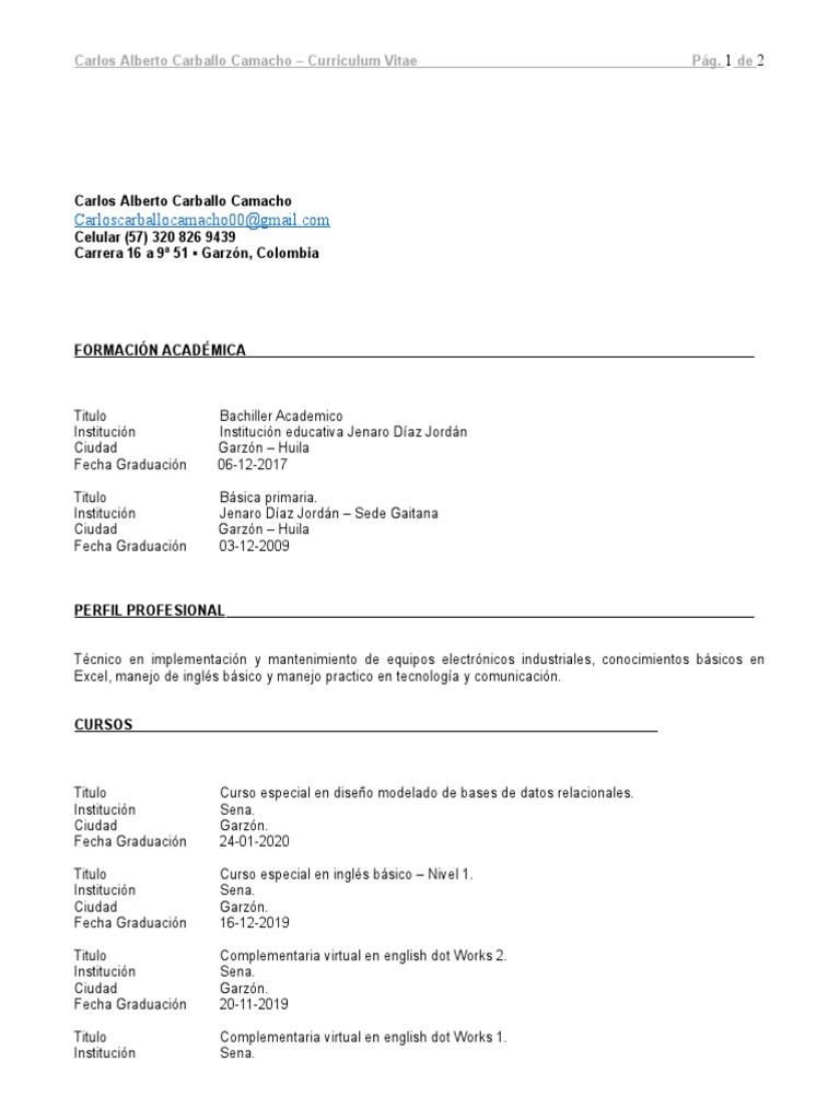 Curriculum Vitae de Carlos Alberto Carballo Camacho | PDF | Informática | Plan de estudios