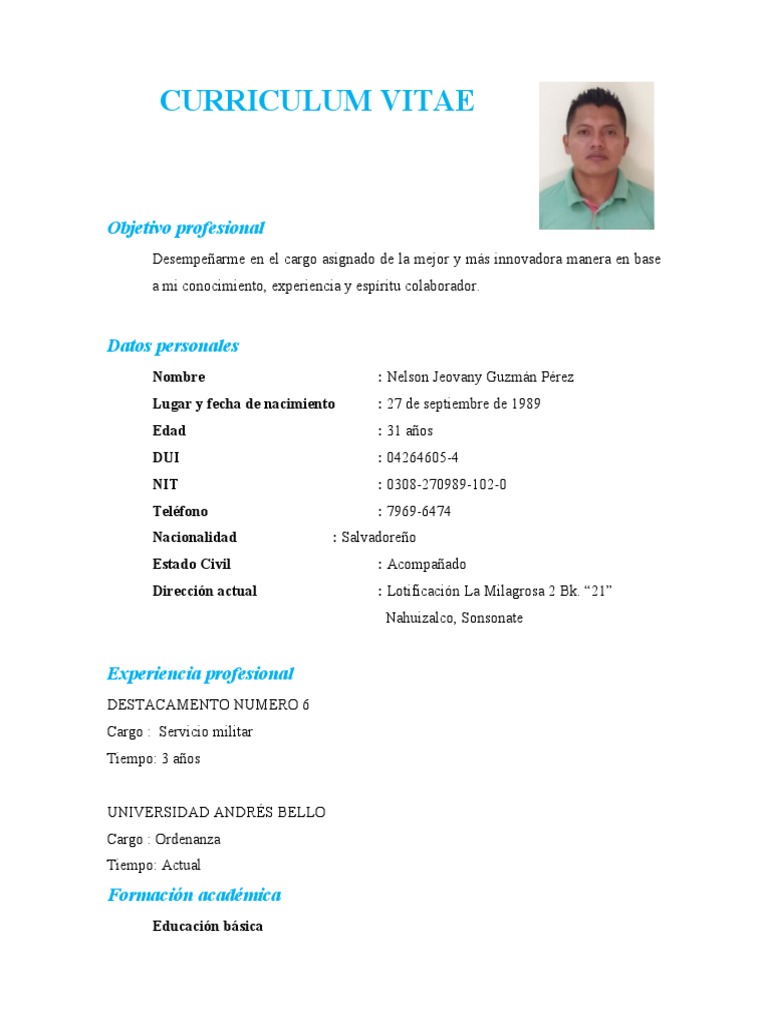 CURRICULUM VITAE Nelson | PDF