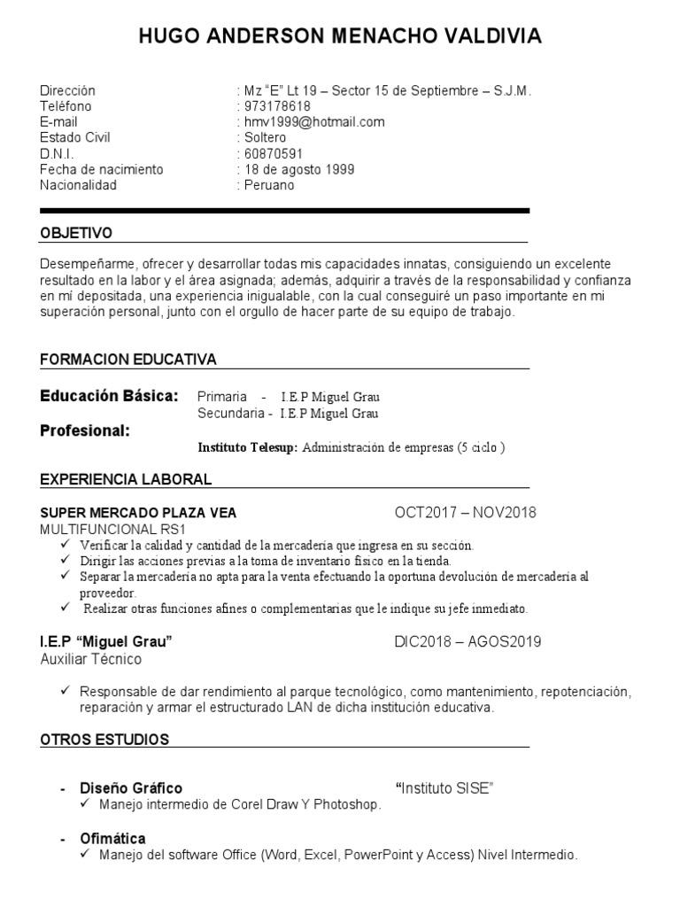 Curriculum Vitae - HUGO MENACHO | PDF