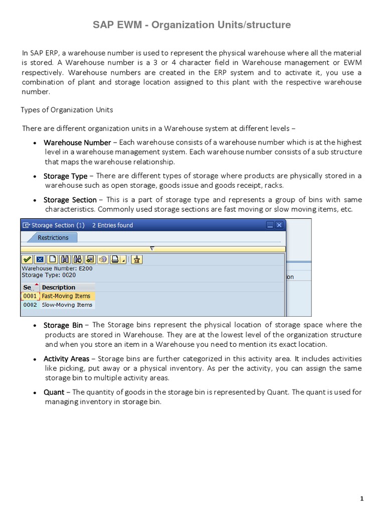 Organizing the Warehouse: A Guide to SAP EWM Organization Units ...