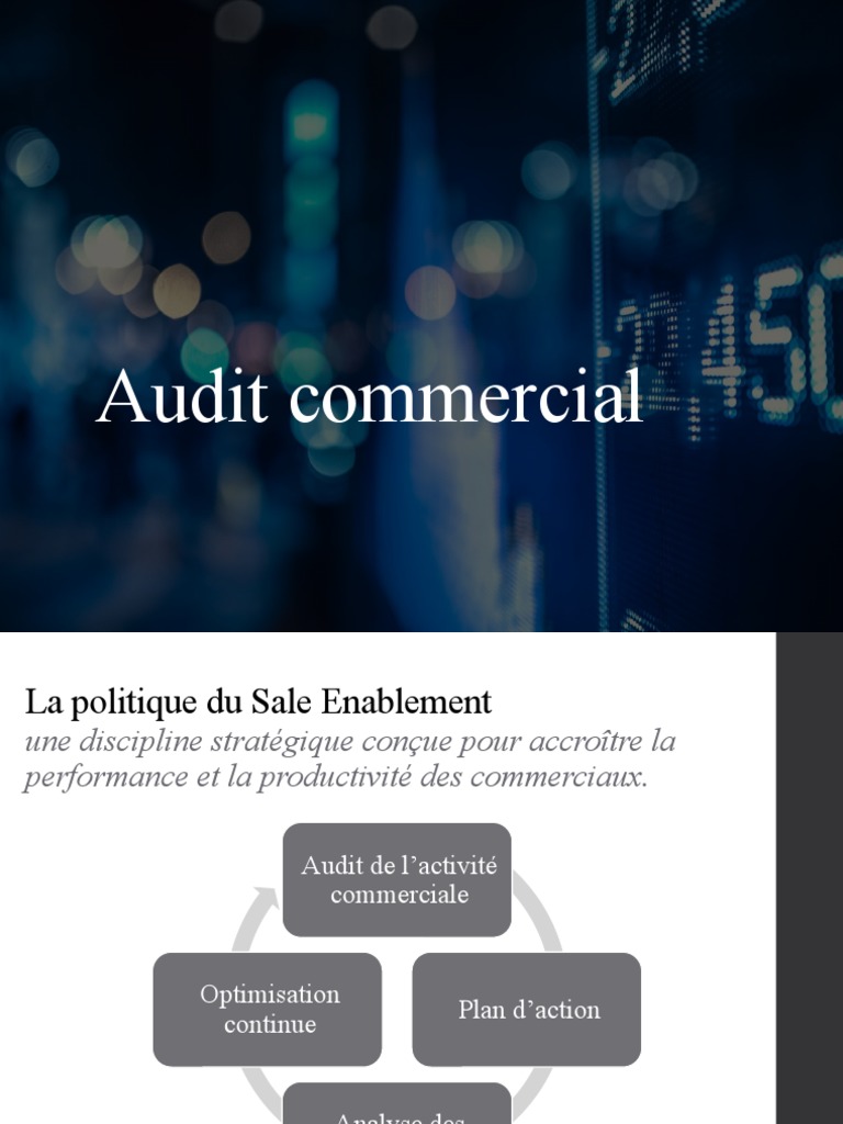 Audit Commercial | PDF | Stratégie marketing | Sodles