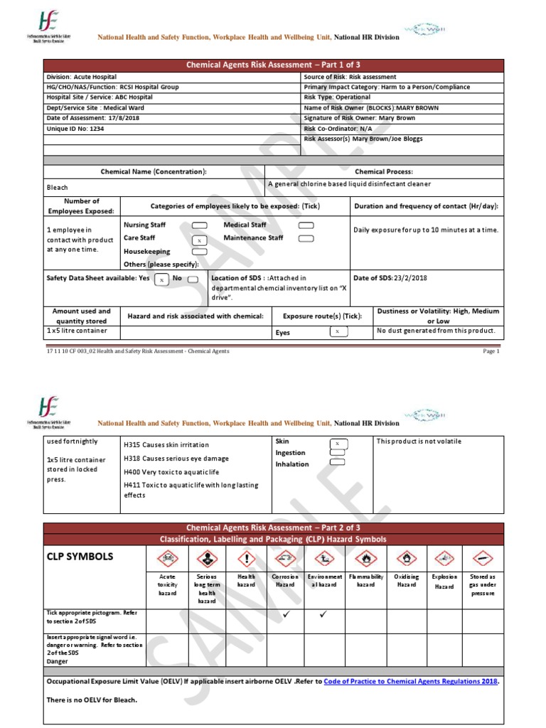 Sample Bleach Chemical Agents Risk Assessment | PDF | Toxicity | Hazards