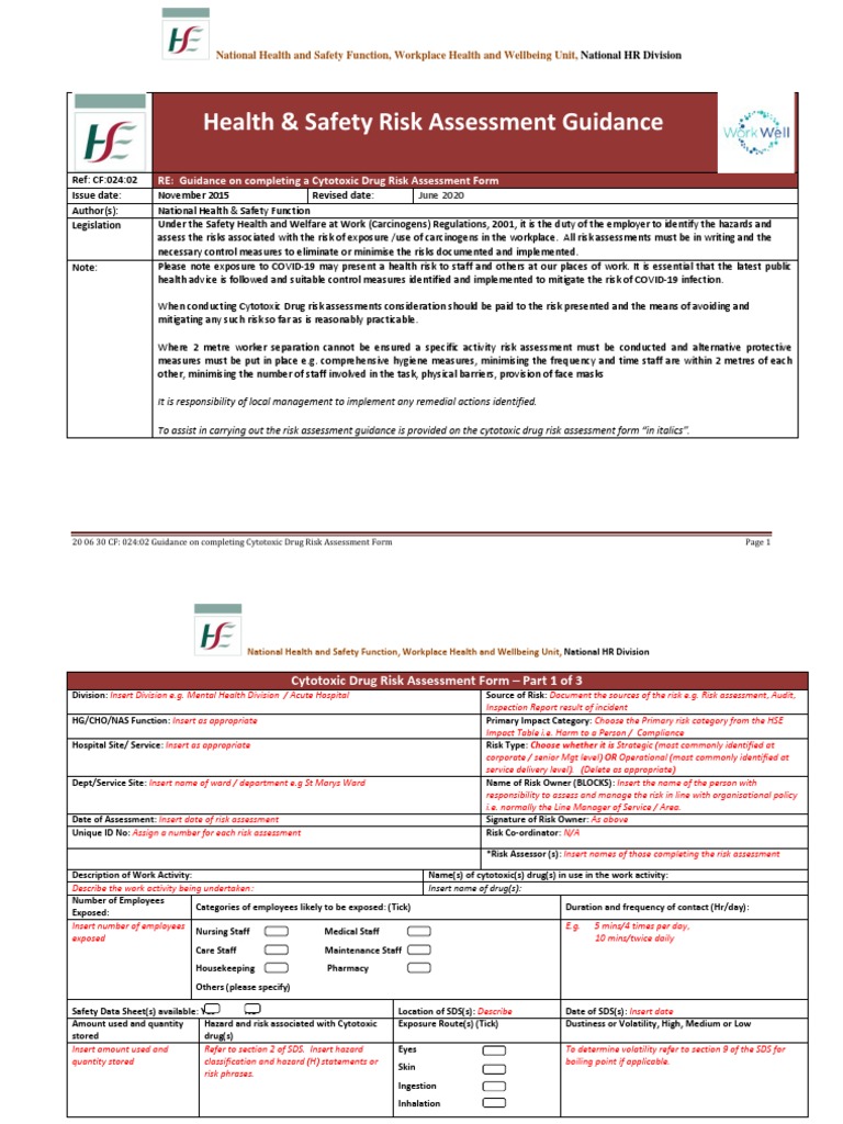 Cytotoxic Drug Risk Assessment Form | PDF | Risk Assessment ...