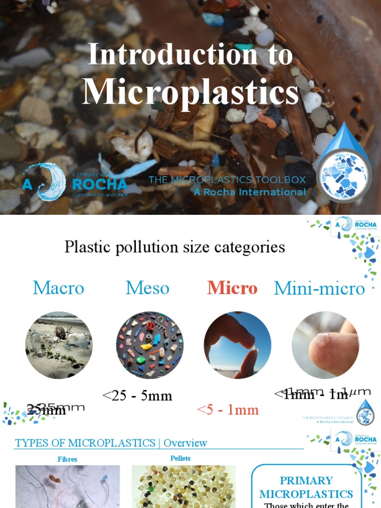 Introduction To Microplastics | PDF | Science & Mathematics