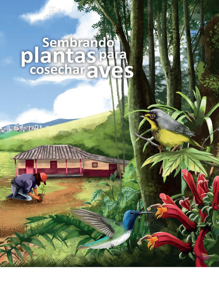 Sembrar Para Cosechar Pdf