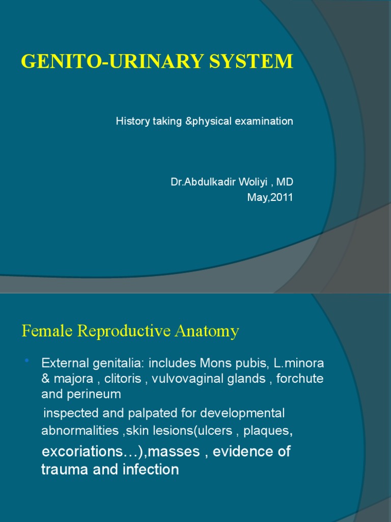 Genito-Urinary System: History Taking &physical Examination | PDF ...